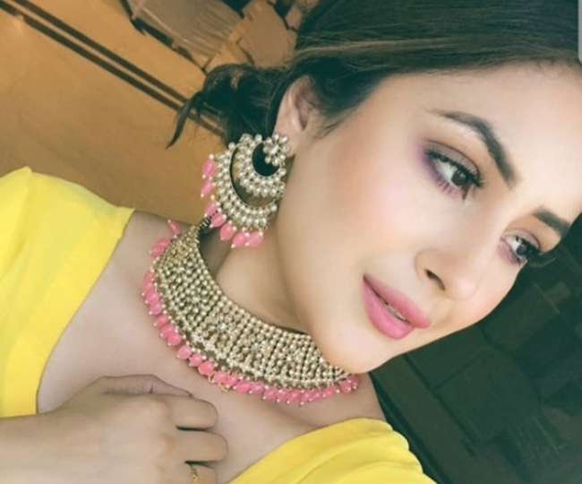 Bigg Boss 13: शो में आने से पहले शहनाज़ गिल के साथ जुड़ चुकी है ये बड़ी ... Bigg Boss 13: शो में आने से पहले शहनाज़ गिल के साथ जुड़ चुकी है ये बड़ी ...