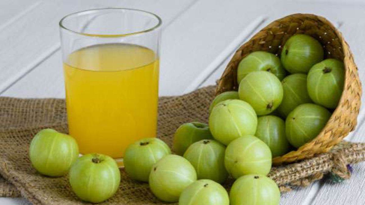 Amla Navami 2022: 100 रोगों की एक दवा है आंवला, सेहत के ही है लाजवाब ...