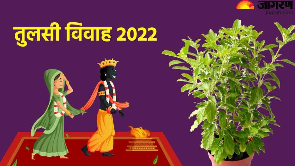 Dev Uthani Ekadashi 2022: देव उठनी एकादशी पर तुलसी में चढ़ाएं ये एक चीज ...