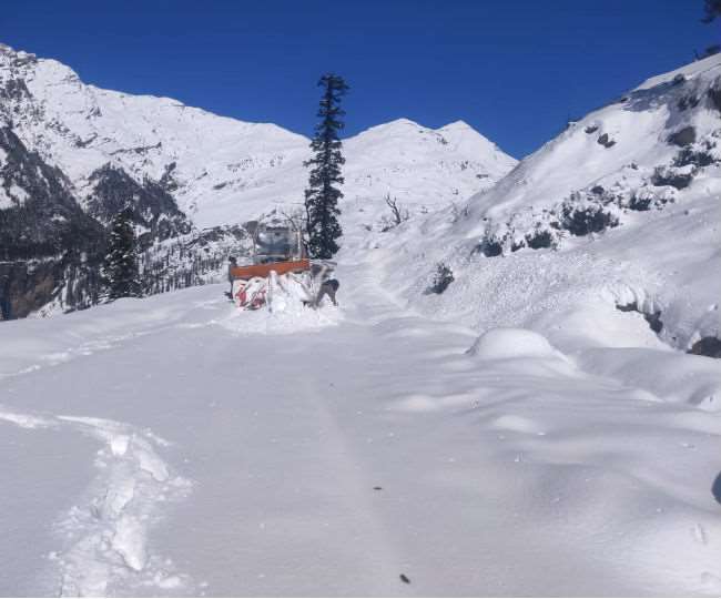 शिमला से ठंडा हुआ पालमपुर शहर, भारी बर्फबारी से तीन हाईवे समेत 175 से ...