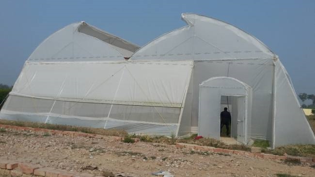 पाली हाउस में तैयार होगी बेमौसम सब्जियों की नर्सरी - Nursery of ...
