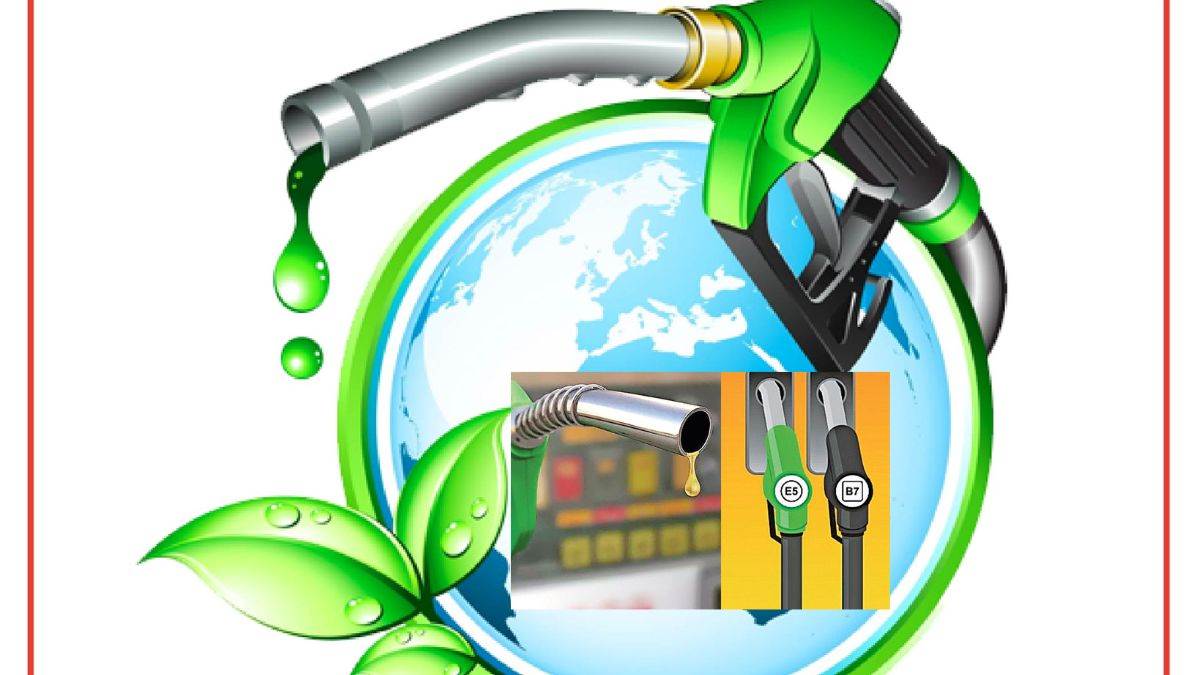 क्या होता है E20 FUEL? कैसे होता है तैयार, भारत में कितना होगा सफल ...