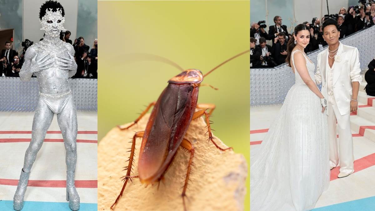 Met Gala 2023: मेट गाला के रेड कारपेट पर सितारों के बीच पहुंचा कॉकरोच ...