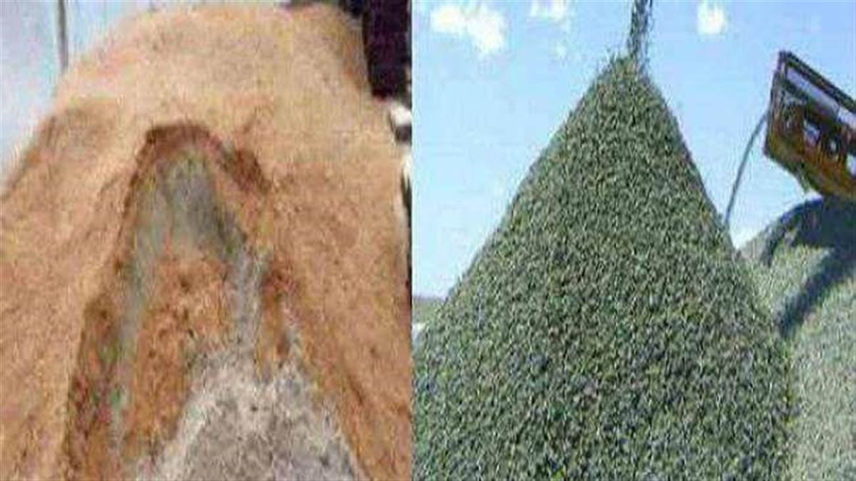 ओवरलोडिंग पर सख्ती का असर, UP में बालू-मौरंग और गिट्टी के दामों में आया ...