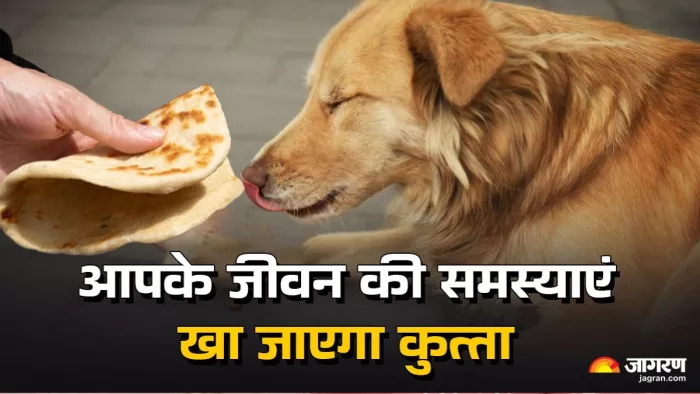 कुंडली में शनि या केतु कर रहे हैं परेशान, पितृ दोष से आ रहे हैं संकट ...