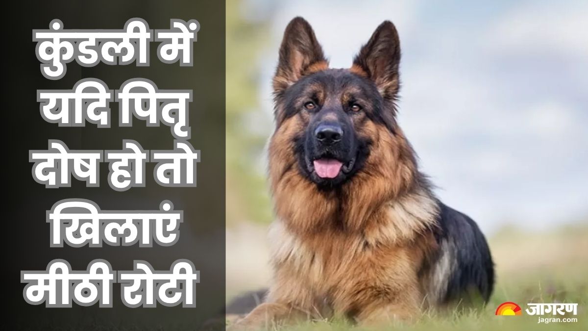 कुंडली में शनि या केतु कर रहे हैं परेशान, पितृ दोष से आ रहे हैं संकट ...