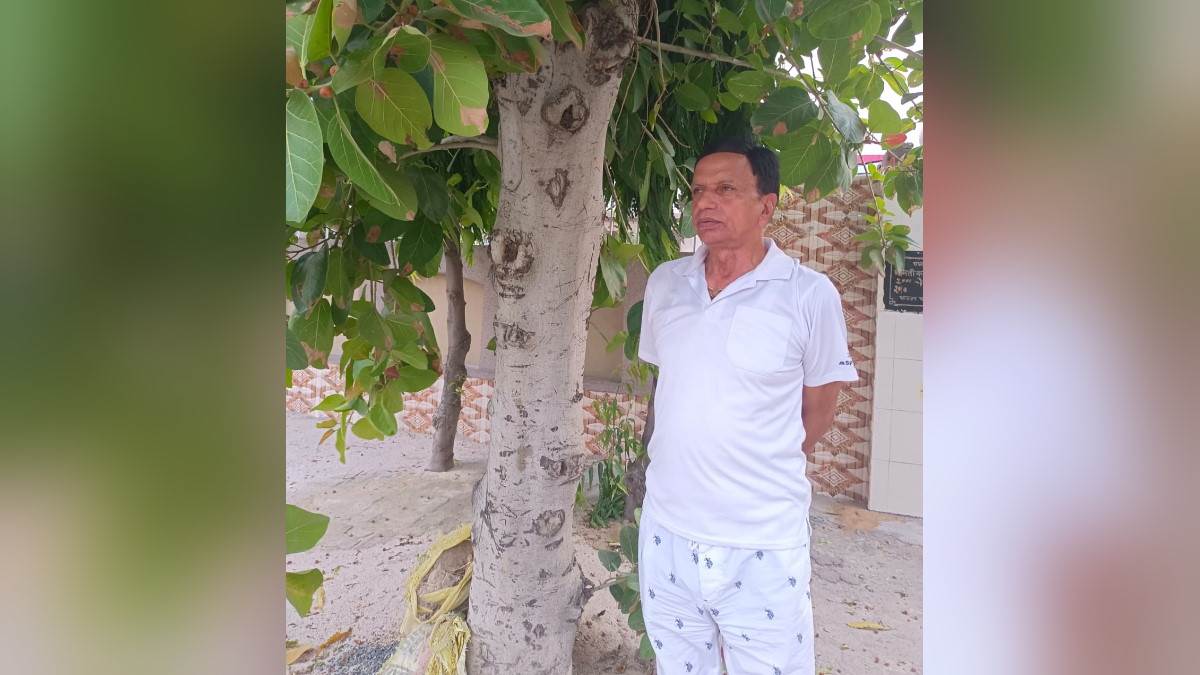 रिश्तों का पेड़, पिता की याद में लगाई त्रिवेणी से हर दिन मिल रहा ...