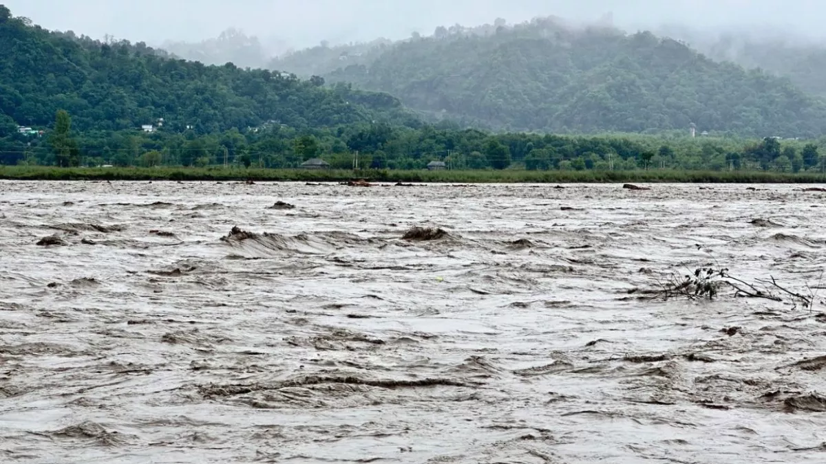 Pong Dam: 1315 फीट तक पहुंचा पौंग बांध का जलस्तर, बारिश जारी रही तो छू ...