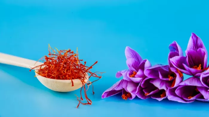 Kesar Skin Benefits: दमकती त्वचा के लिए इन दो तरीकों से करें केसर का ...