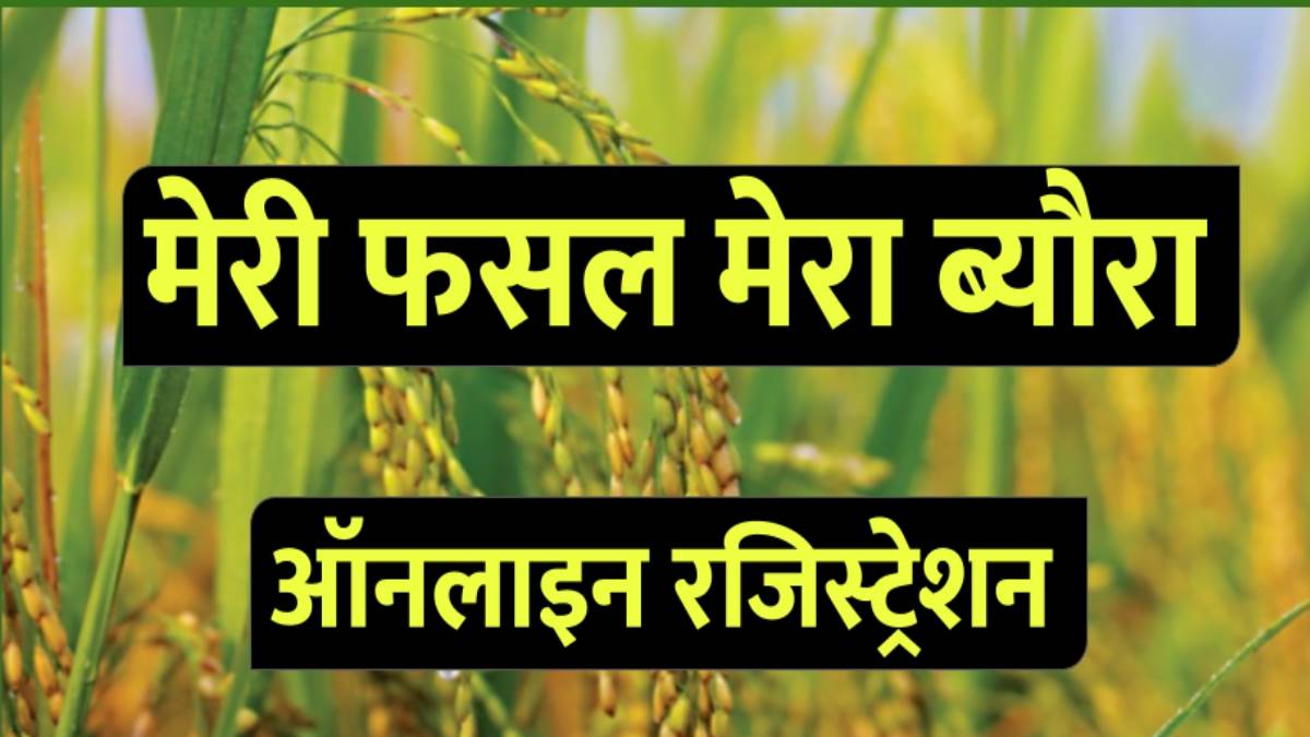 जानें क्‍या है मेरी फसल-मेरा ब्यौरा योजना, क्‍यों हरियाणा के किसान नहीं ...