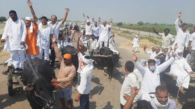 मुरादाबाद से भोजपुर तक किसानों ने निकाली भैंसा-बुग्गी यात्रा - From ...