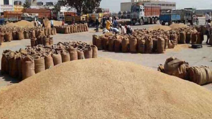Paddy Purchase In UP: 100 रुपये बढ़ी एमएसपी, 73 लाख टन धान खरीदेगी योगी ...