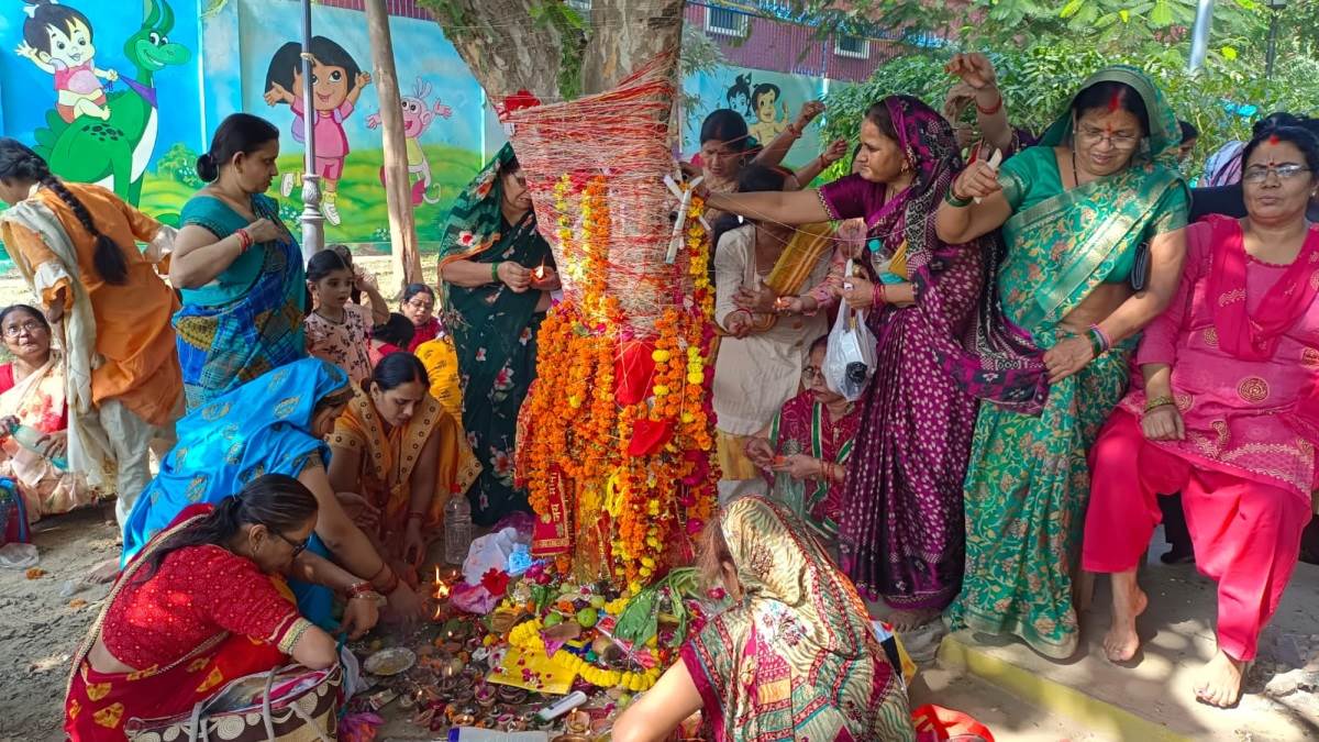 Akshaya Navami 2022: अक्षय नवमी पर आंवला पेड़ की पूजा में भक्‍त लीन ...