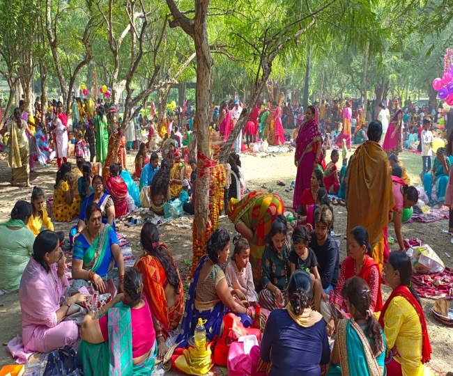 Akshaya Navami 2022: अक्षय नवमी पर आंवला पेड़ की पूजा में भक्‍त लीन ...