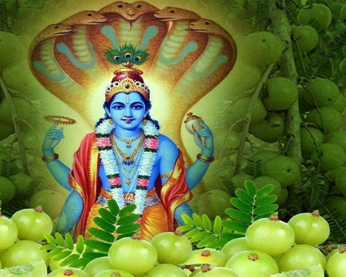 Amla Navmi 2022: सुख-सौभाग्य व समृद्धि कामना के लिए किया जाता आंवला ...