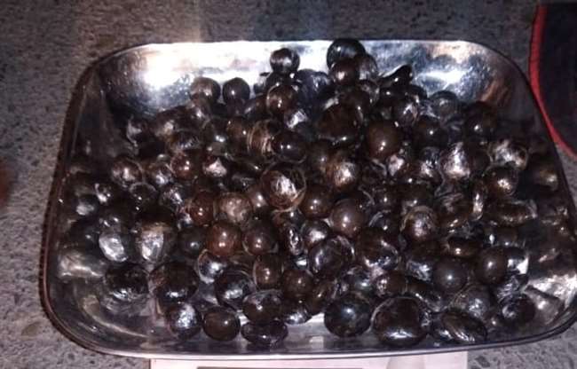 एचआरटीसी की बस में सवार युवक से 3 228 किलो ग्राम चरस बरामद कुल्लू