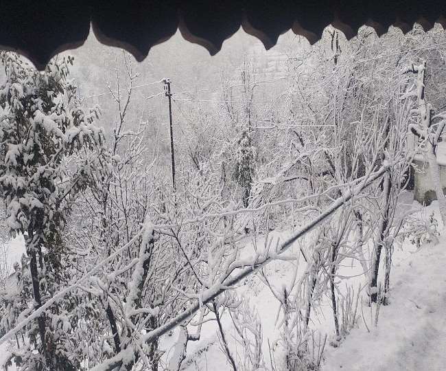 अल्मोड़ा में आठ साल बाद इतनी भारी बर्फबारी, चोटी से मैदान तक बर्फ की ...