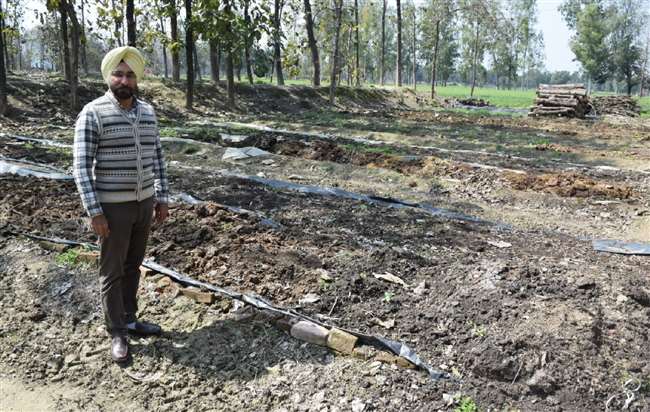 जैविक खेती कर वीरेंद्र बने लोगों के लिए मिसाल Rampur News - Virendra ...