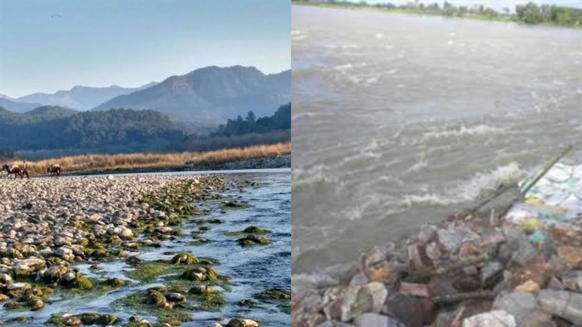 Bhabar Terai Zone: जानिएं भाबर और तराई क्षेत्रों के बीच का अंतर - Bhabar and Terai Zone Know the ...