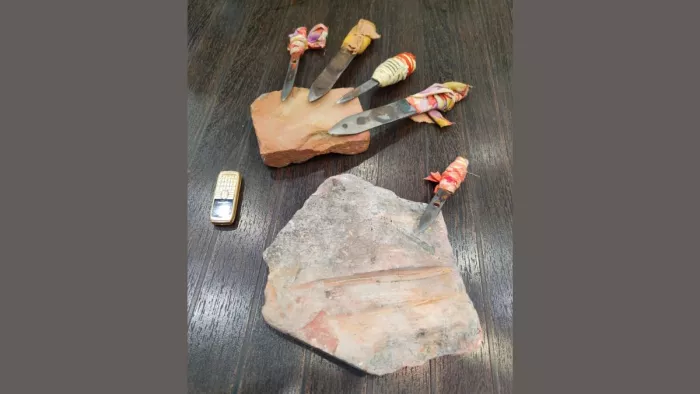 Delhi: जिस जेल में टिल्लू की हुई हत्या, वहां से एक महीने के भीतर बरामद ...