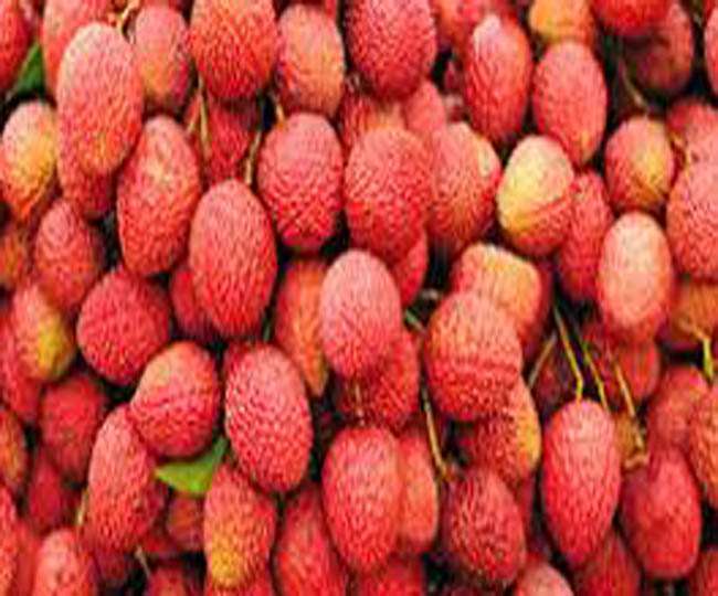 muzaffarpur famous shahi litchi sent to new delhi by special train