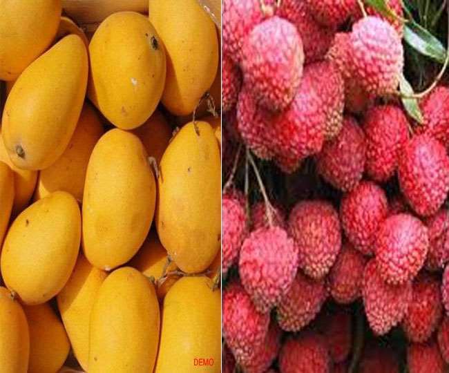 पटना में आम और लीची का एक दाम, जानें मालदह और जर्दालू के लिए कितनी ढीली ...