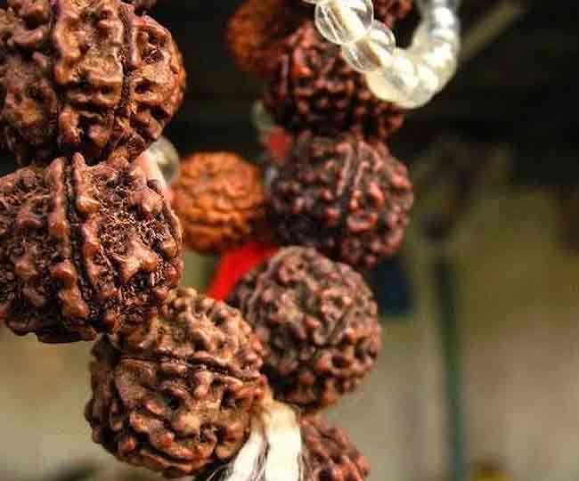Rudraksha: क्या होता है रुद्राक्ष? कैसे हुआ उत्पन्न? जानें इसका महत्व ...