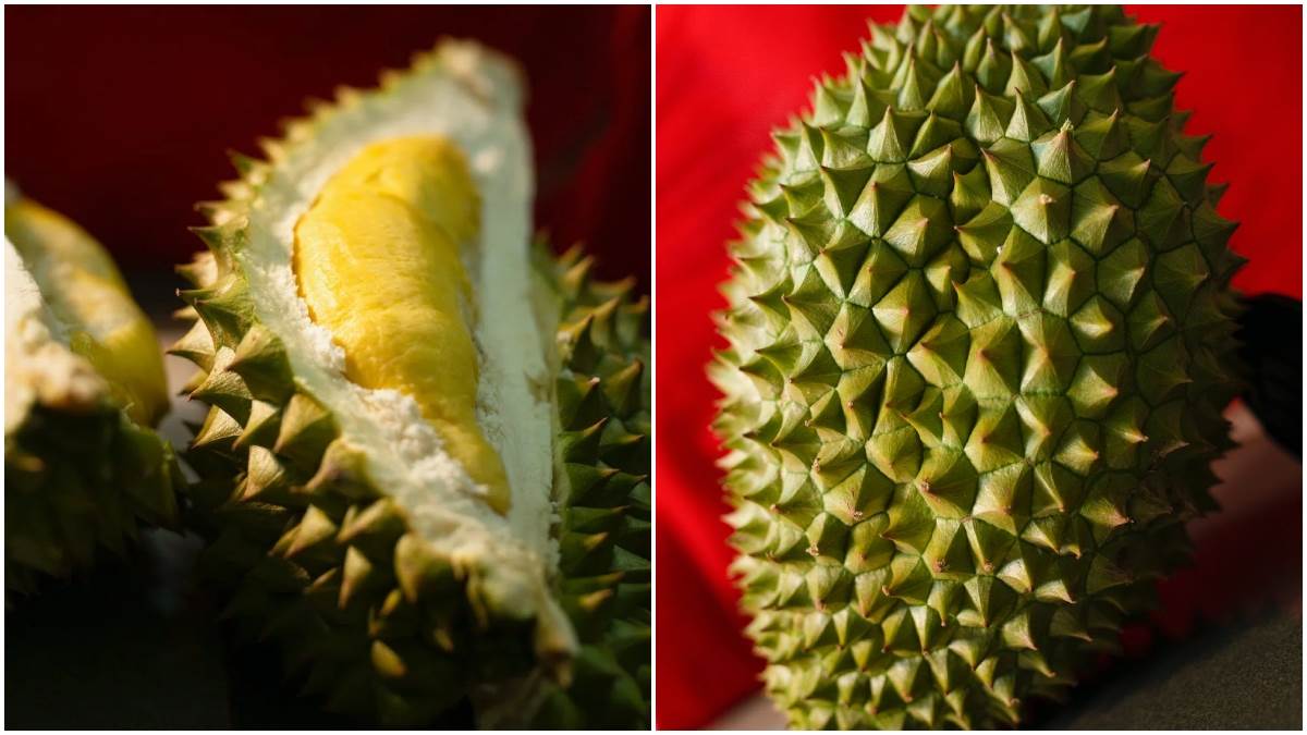 Most Smelliest Fruit: दुनिया का सबसे बदबूदार फल है 'डूरियन', कीमत जान ...