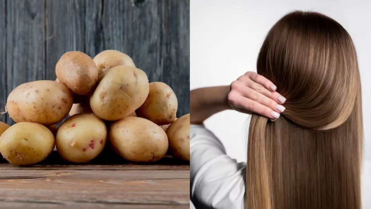 Potato For Hair Growth: बालों की ग्रोथ के लिए बेहद फायदेमंद है आलू, इन ...