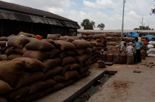 चबूतरों पर सरकारी गेहूं और खुले में किसान की मक्का