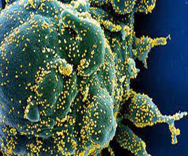 कोरोना के डेल्टा-बीटा वैरिएंट का मिश्रित रूप है डेल्टा प्लस वैरिएंट ...