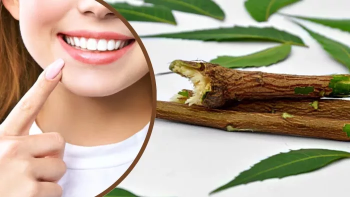 नीम ही नहीं, ये 5 पेड़ के दातून भी दांतों को बनाते हैं मजबूत; म‍िलते ...