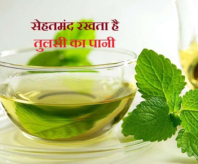 Health Benefits Of Tulsi Water: ब्लड प्रेशर से लेकर तनाव तक कम करता है ...