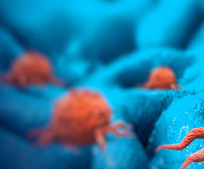 Sleeping Cells Prevent Cancer: शरीर में बनेने वाली ये कोशिकाएं रोकती है ...