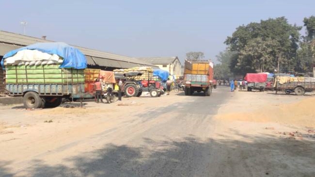 धान की तौल सुस्त, ट्रालियों की लगी कतार - paddy weight slow speed ,long ...