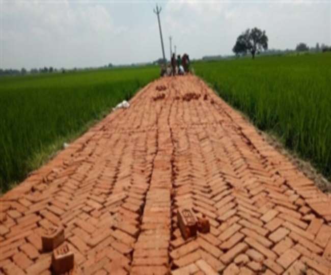 प्रतापपुर में खड़ंजा निर्माण को 10 साल से लगा रहे गुहार, अब तक नहीं हुआ ...