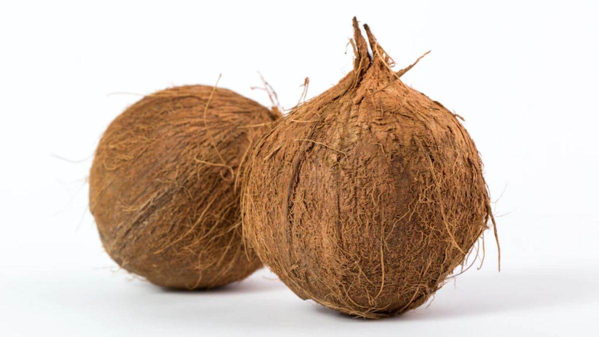 Laghu Nariyal Benefits: लघु नारियल का ऐसे करेंगे इस्तेमाल, तो होगी धन ...