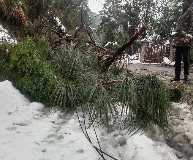 रानीखेत में बर्फबारी से विद्युत आपूर्ति बाधित, नगर व 35 गांवों में रहा ...
