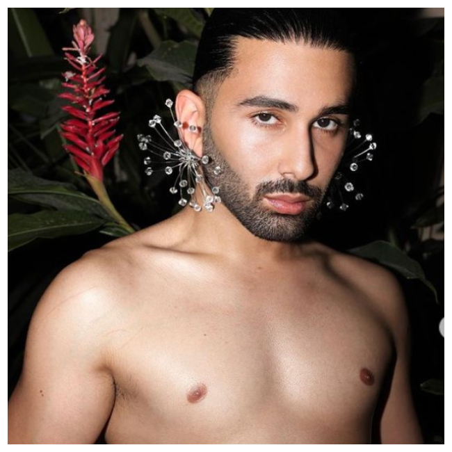 अंबानी की पार्टी में Rihanna को Orry ने दी थी जो ईयररिंग्स उसकी इतनी है ...