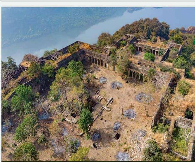कैमूर वन्‍य जीव अभ्‍यारण्‍य: यहां प्रकृति का सौंदर्य दिखेगा तो गौरवशाली ...