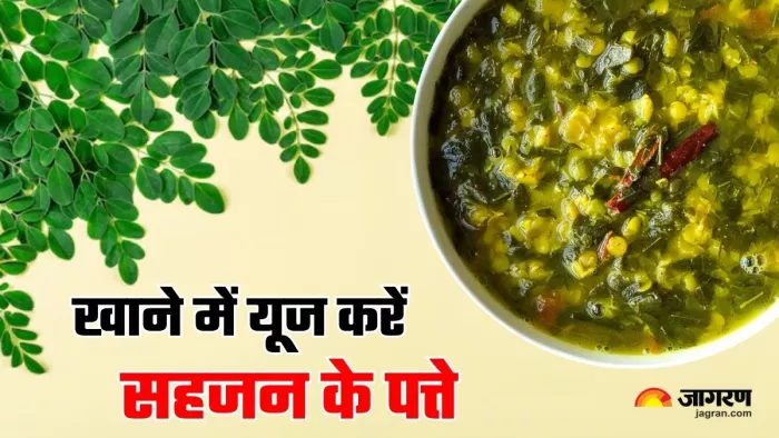 Moringa Leaves Uses: कुकिंग में 5 तरीकों से इस्तेमाल करें सहजन के पत्ते ...