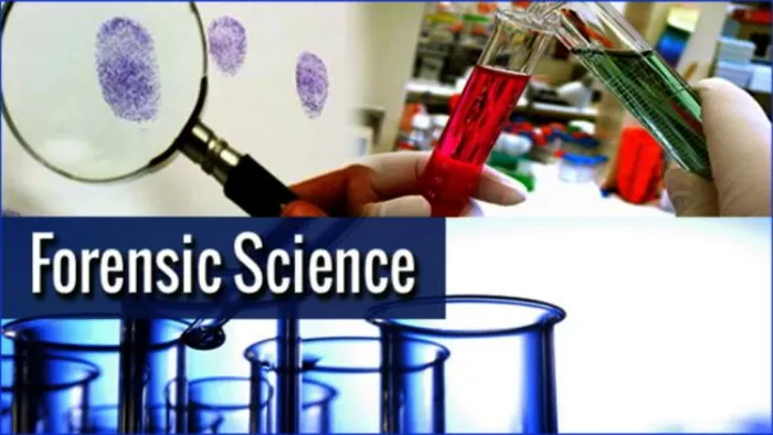 Delhi News: दिल्ली में यौन उत्पीड़न और पोक्सो मामले की रिपोर्ट 24 घंटे ...