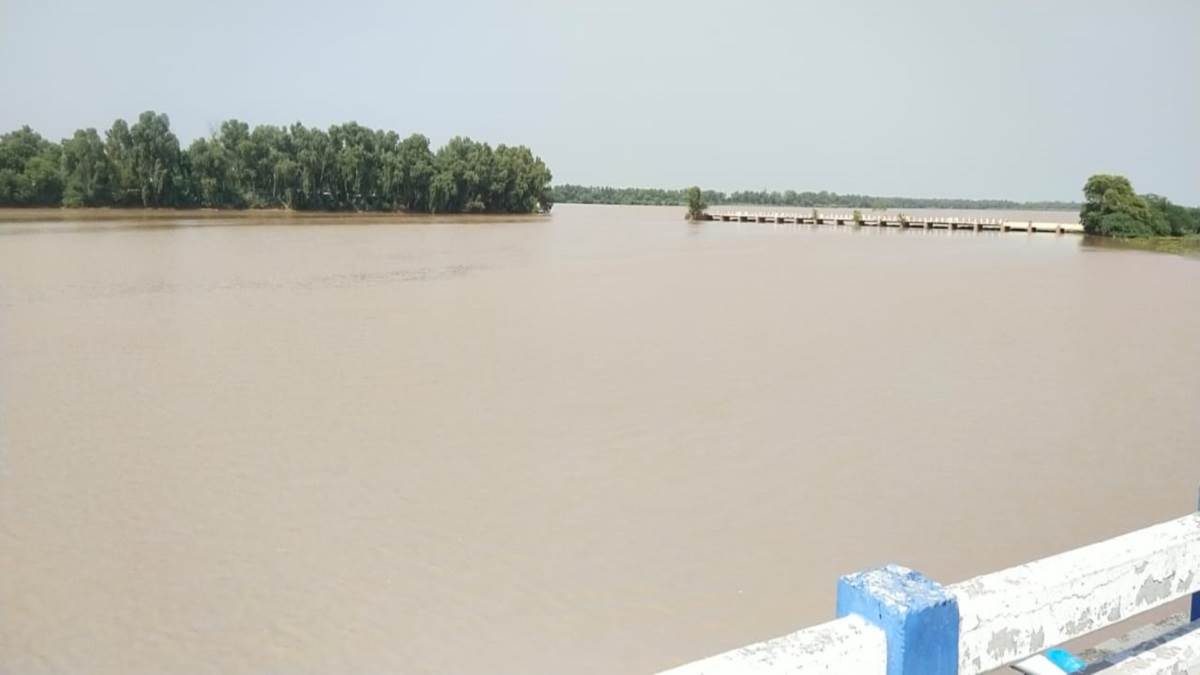 पाकिस्तान का पानी पहुंचने से पहले ही सिरसा में घग्घर के पाट बंद, जलस्तर ...