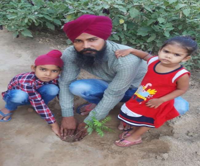 विलुप्त हुए पेड़ों को संजोने के लिए अलख जगा रहे सिरसा के स्‍वराज सिंह ...