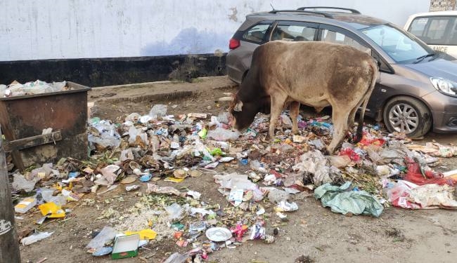 29 वार्ड, 400 कर्मचारी, एक ही दिन में चमक गया शहर - cleaning campaign ...