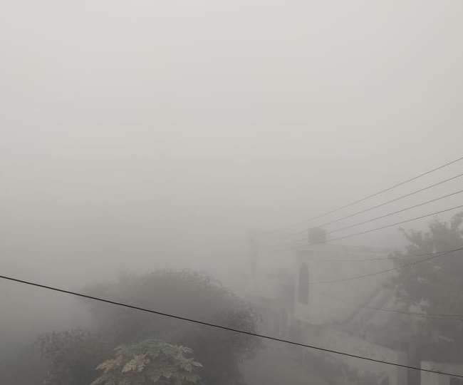 कैथल में सर्दी का पहला कोहरा गेहूं की फसल को होगा फायदा - First Fog of ...