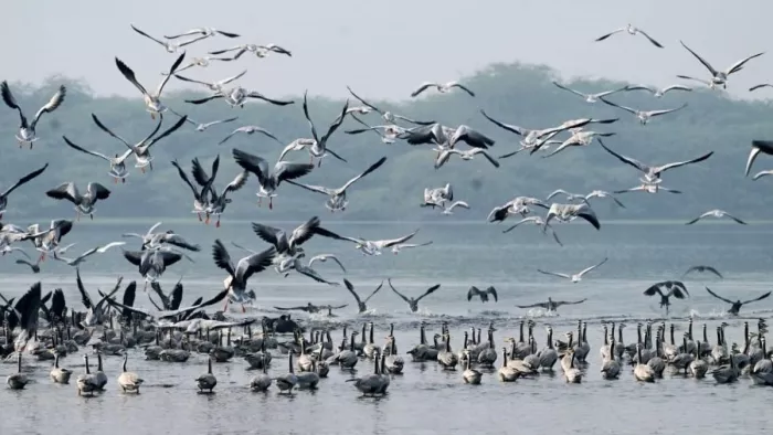 ठंड में कई गुना ज्‍यादा बढ़ गई है Keetham Lake की सुंदरता, 20 हजार से ...