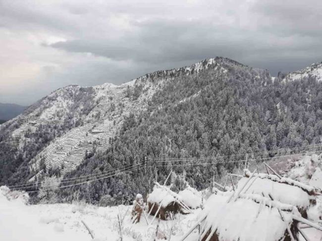 हिमपात व बारिश से खिले किसानों व बागवानों के चेहरे - Snowfall closed ...