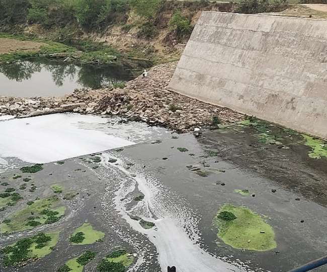 Indo-Nepal: नेपाल के कचरे से कराह रहा भारत का डंडा बैराज, दोनो देशों की ...