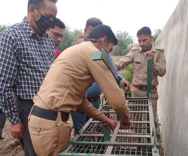 खदरी-खड़कमाफ में गुलदार सक्रिय, वन विभाग ने लगाया पिंजरा - Forest ...